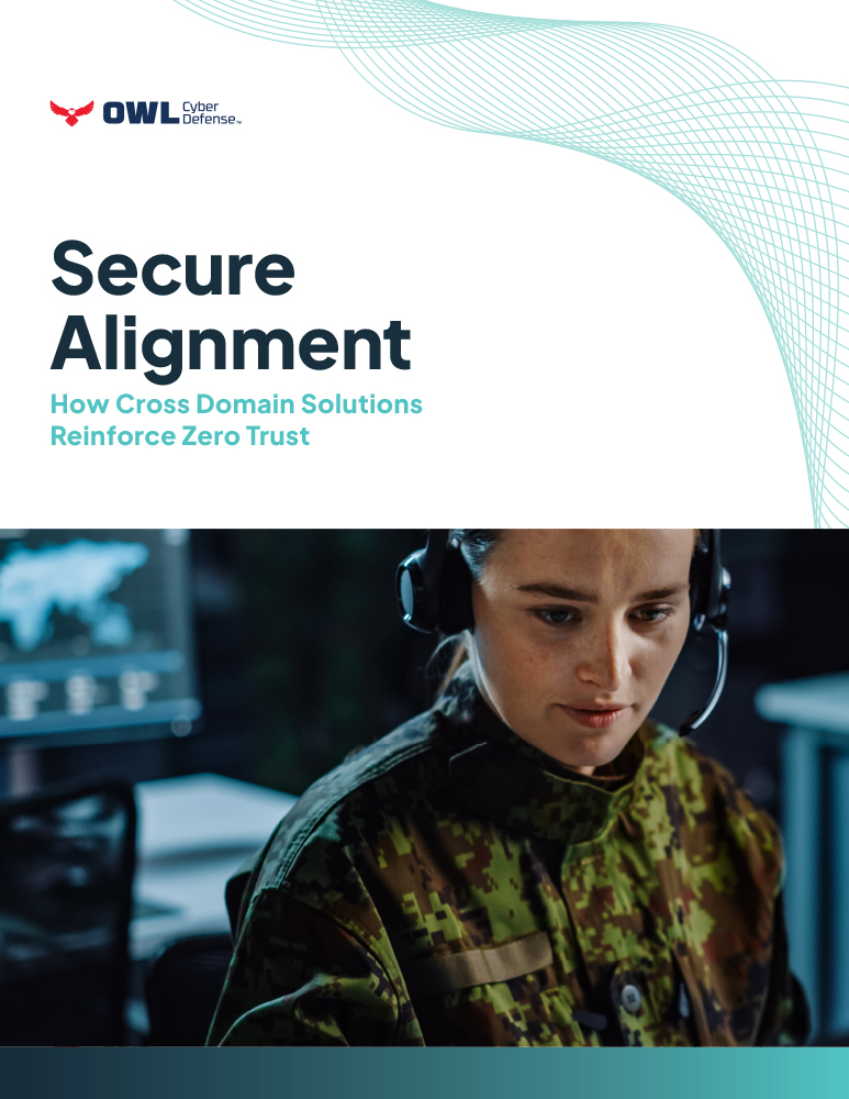 Secure Alignment: How Cross Domain Solutions Reinforce Zero Trust | Federal & Critical ...