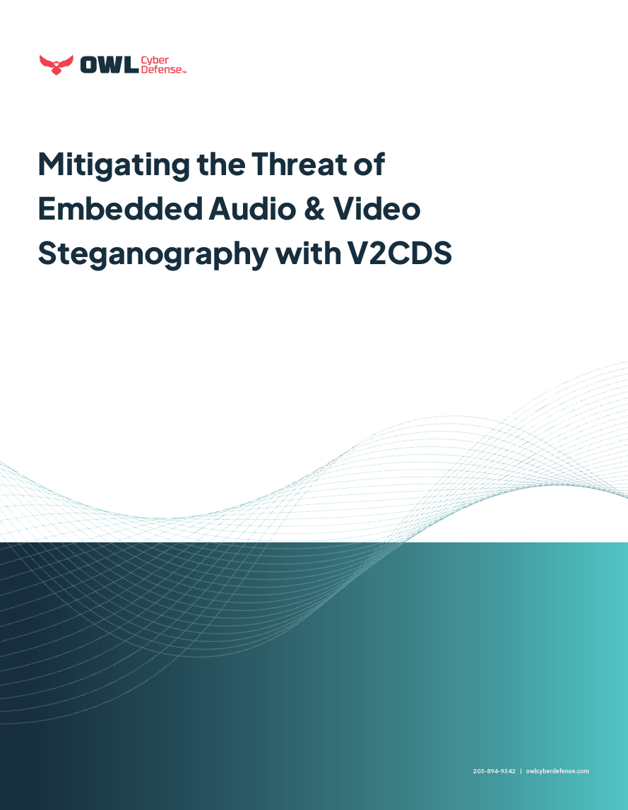 Mitigating Embedded Audio & Video Steganography with V2CDS