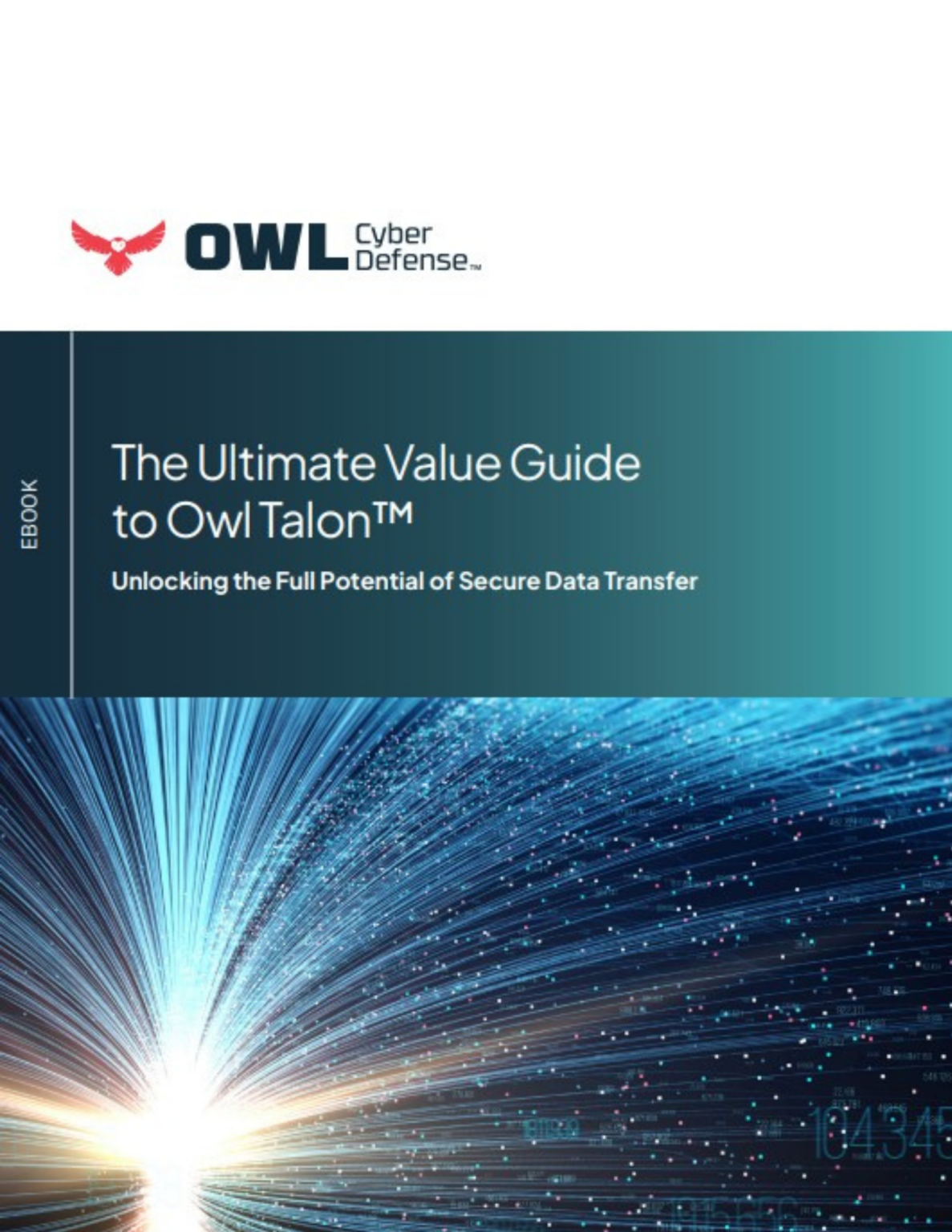 The Ultimate Value Guide to Owl Talon | Owl Cyber Defense